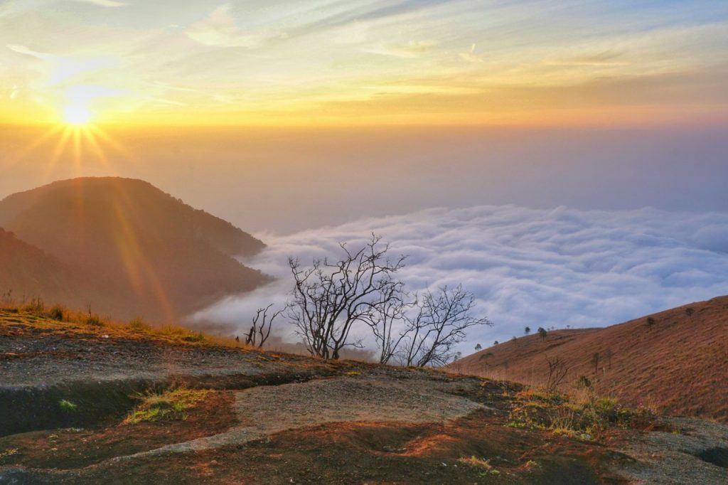 Lari Lintas Alam di Gunung Guntur, Medan Terjal Berbonus Pemandangan ...