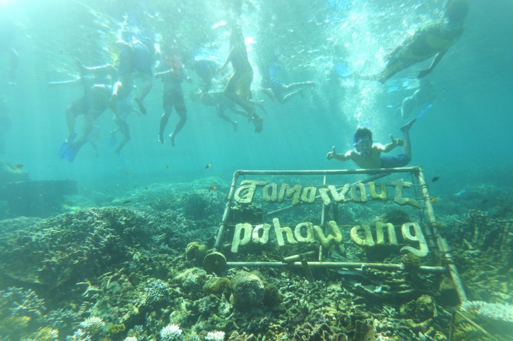 Mau Snorkeling di Pahawang? Intip Rencana Perjalanan 3H/2M Ini! - Where ...