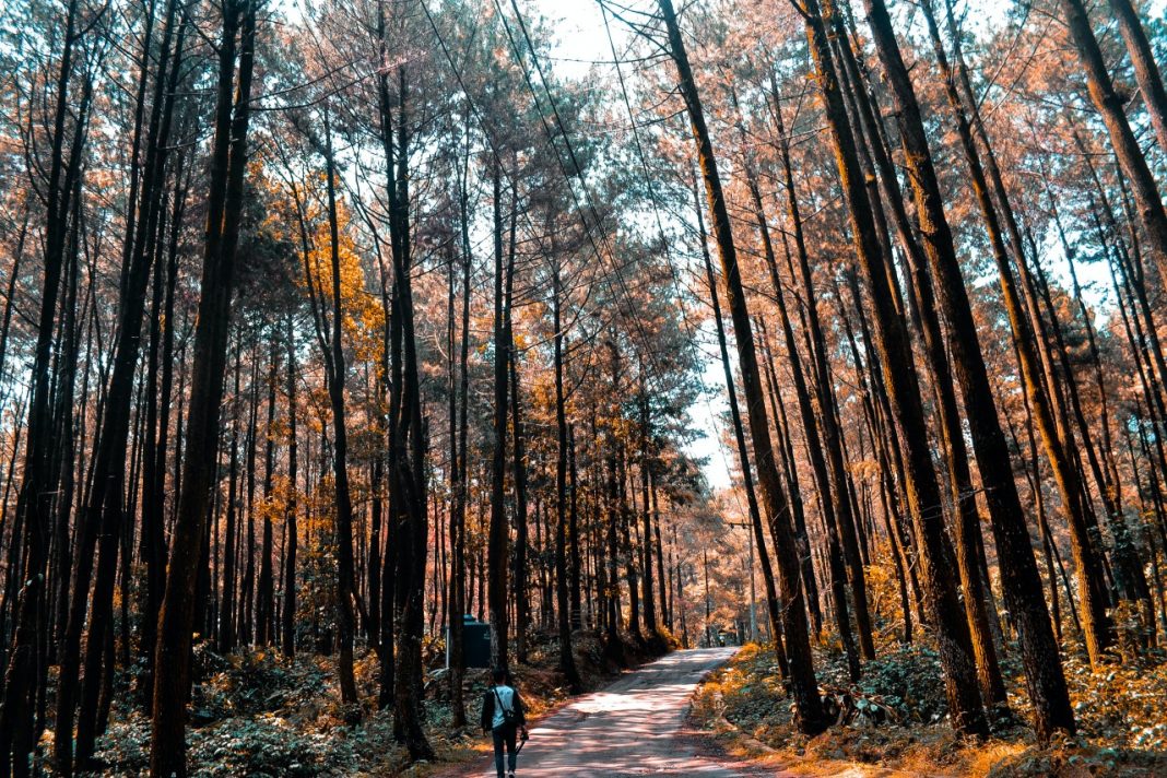 Bersepeda di Gunung Pancar, Penuh Tanjakan dan Tawarkan Pemandangan ...
