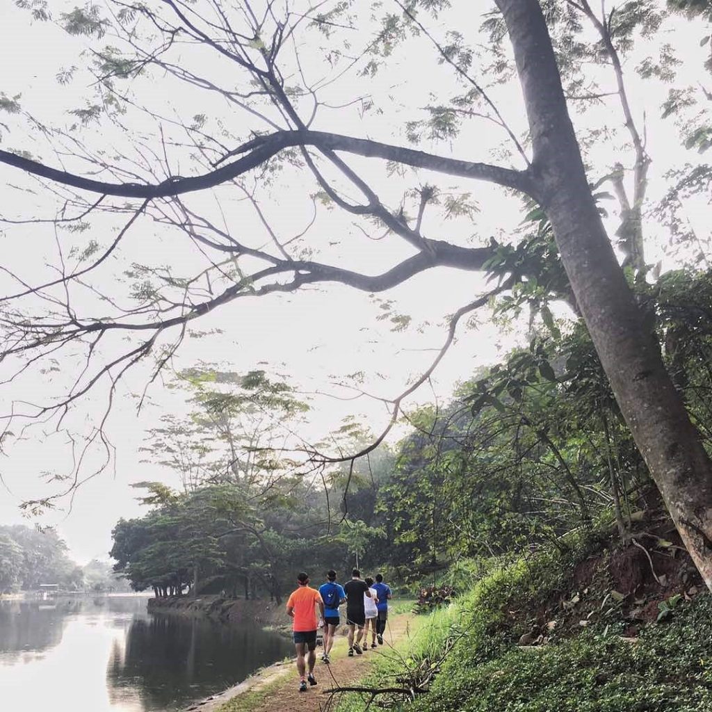 Kebun Binatang Ragunan Juga Asyik sebagai Spot Lari - Where Your ...
