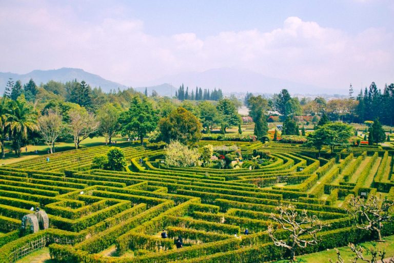 Seru-seruan ala Film "The Maze Runner" di Labirin Taman Bunga Nusantara ...