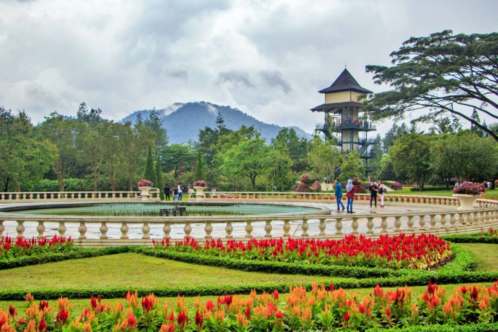 Seru-seruan ala Film "The Maze Runner" di Labirin Taman Bunga Nusantara ...