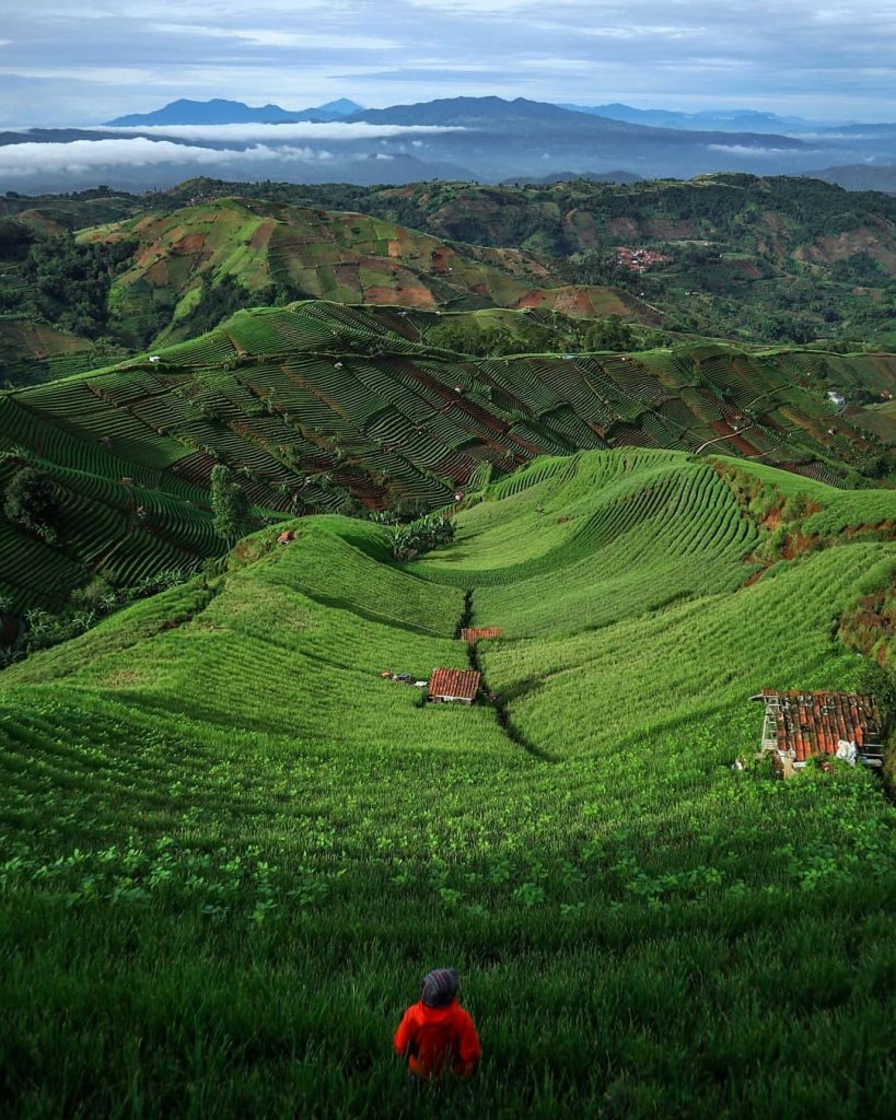 Gowes di Terasering Panyaweuyan, Suguhkan Keindahan Hamparan Luas Kebun ...