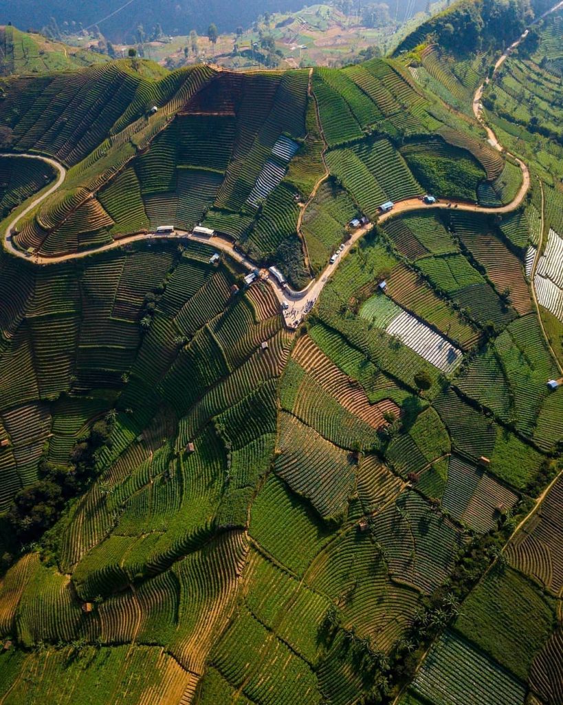 Gowes di Terasering Panyaweuyan, Suguhkan Keindahan Hamparan Luas Kebun ...