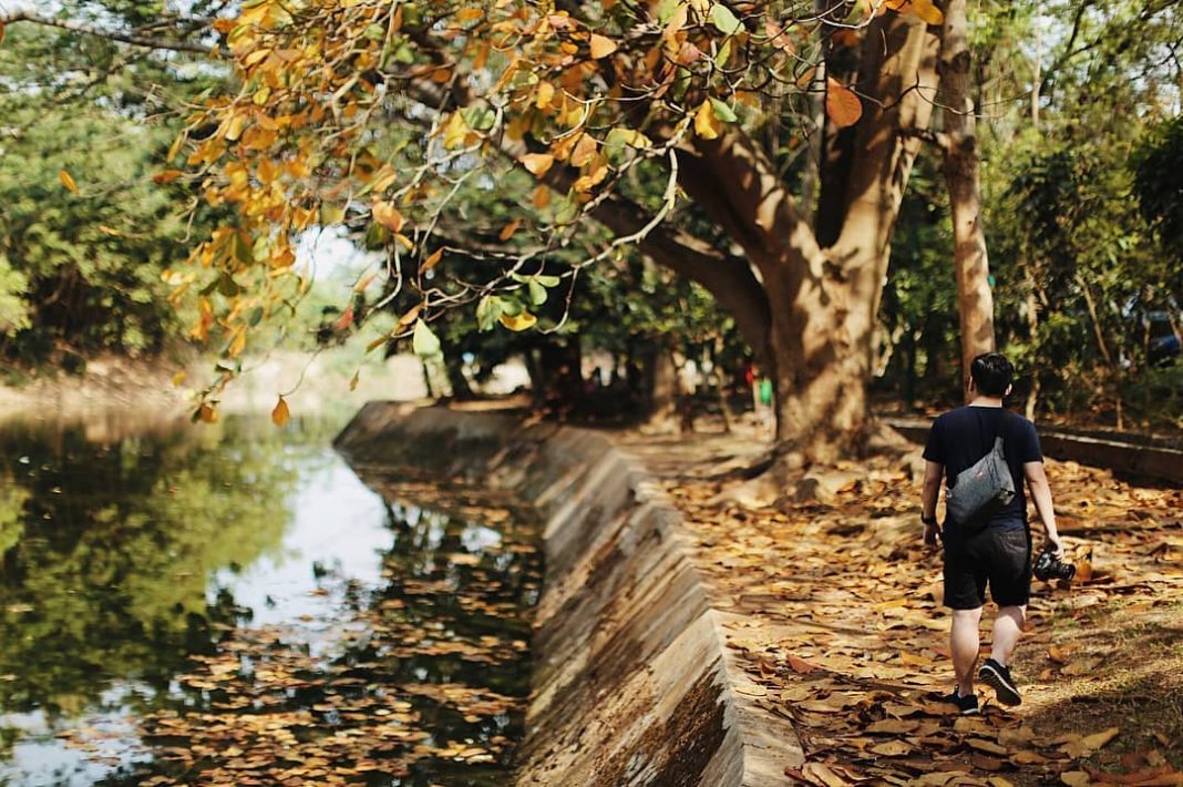 Melepas Penat di Hutan Kota Srengseng, Hidden Gem di Jakarta Barat ...