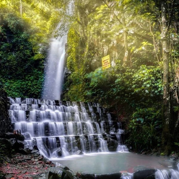 Camping Ceria di Wisata Air Terjun Dlundung - Where Your Journey Begins