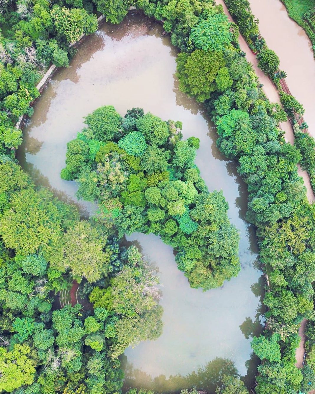 Melepas Penat di Hutan Kota Srengseng, Hidden Gem di Jakarta Barat ...