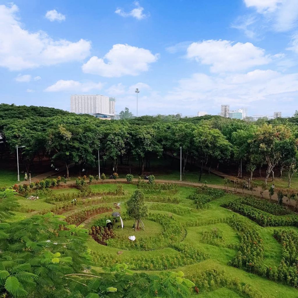 Menikmati Asrinya Taman Hutan Kota Penjaringan - Where Your Journey Begins
