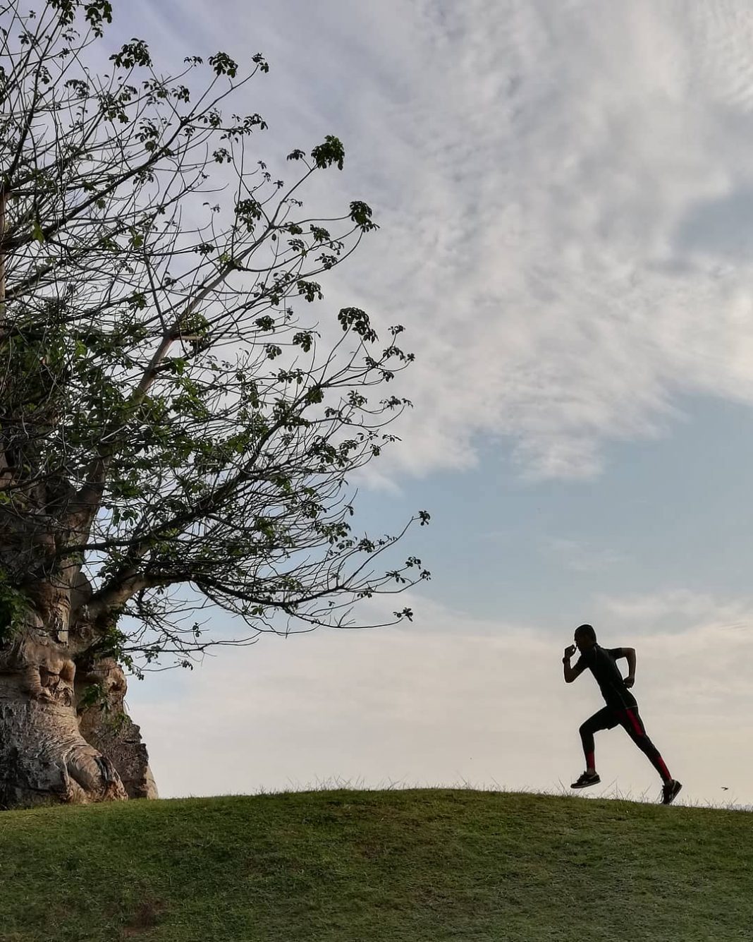 Joging di Taman Waduk Ria Rio, Suguhkan Keindahan Pohon Baobab - Where ...