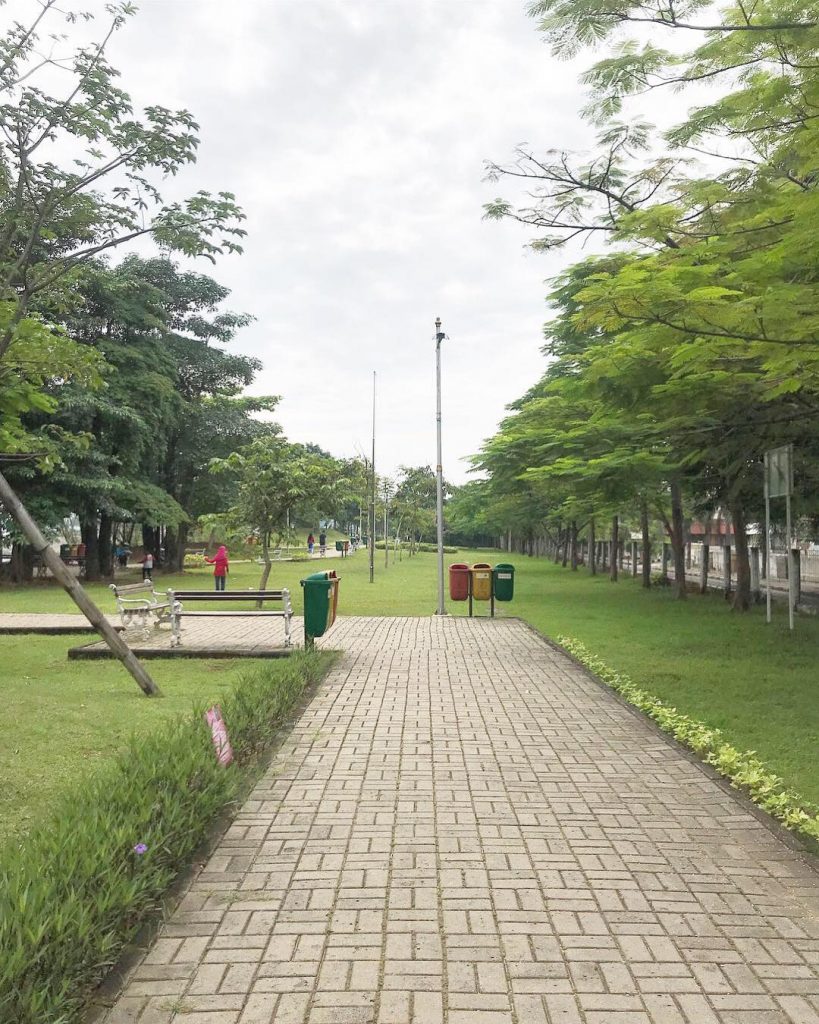 Joging di Taman Waduk Ria Rio, Suguhkan Keindahan Pohon Baobab - Where ...
