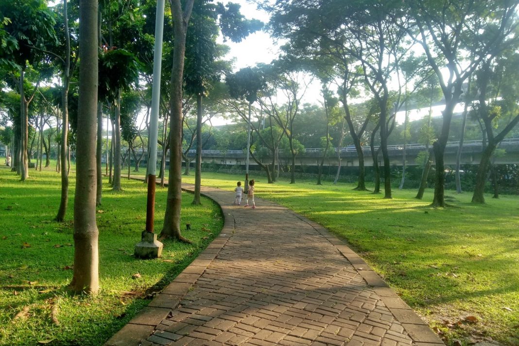Menikmati Asrinya Taman Hutan Kota Penjaringan - Where Your Journey Begins