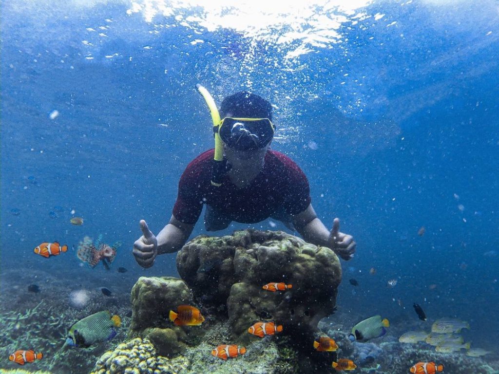 Snorkeling di Pulau Dolphin, Cuma 1,5 Jam dari Dermaga Marina Ancol ...