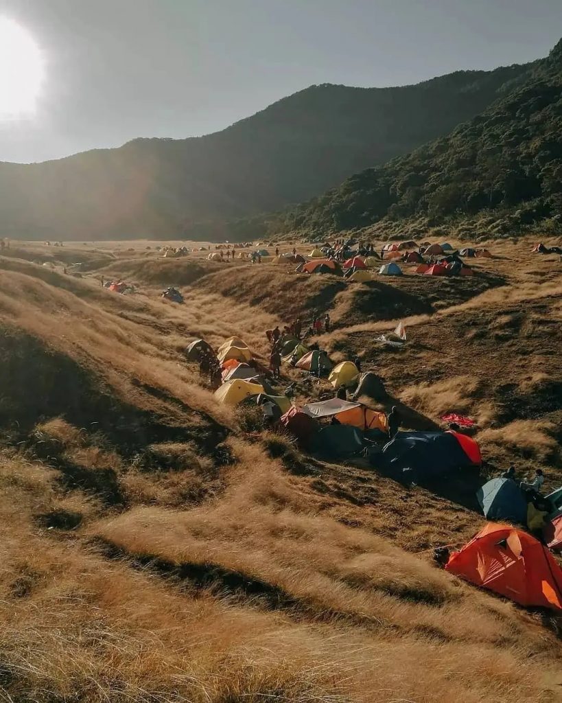 Alun-alun Surya Kencana, Spot Camping Favorit Sebelum Summit Attack di Gunung Gede - Where Your ...