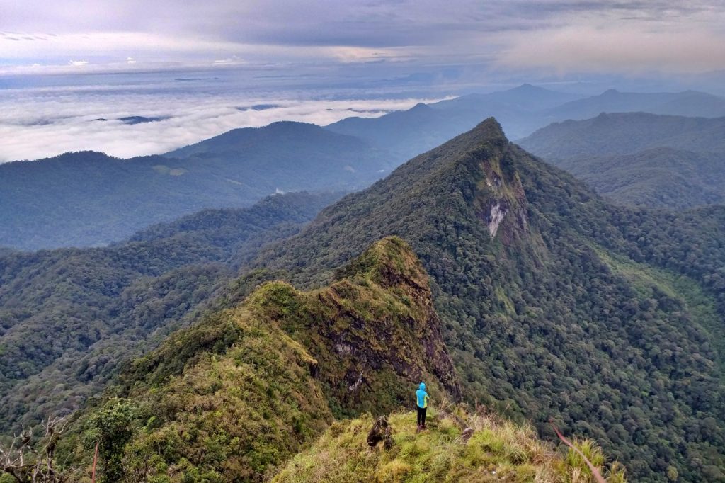 Jalur Pendakian di Gunung Halau-halau Dibuka Kembali - Where Your ...