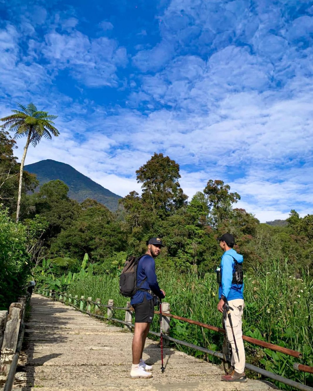 Jalur Pendakian Cibodas di Gunung Gede Pangrango, Banyak Bonus Spot Wisata - Where Your Journey ...