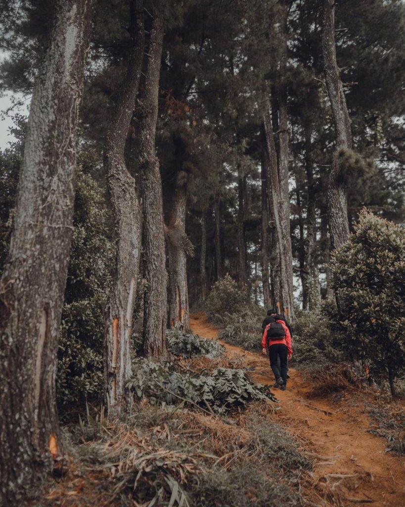 Suka Lari Lintas Alam? Yuk Ikutan Great Paniisan Trail di Sentul ...