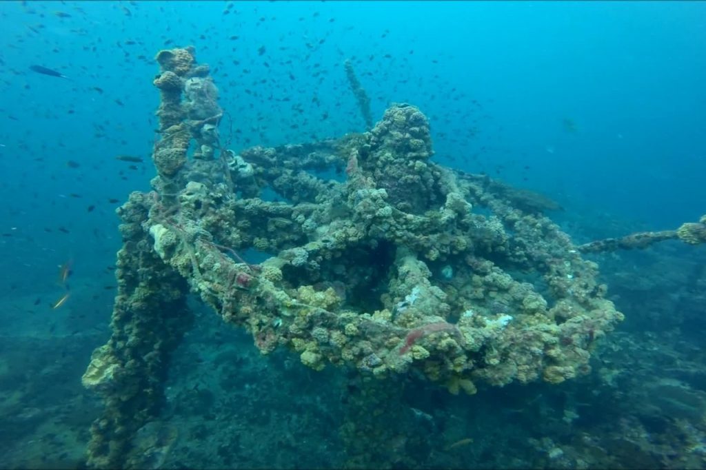 Menyelami Surga Bawah Laut Pulau Mapur, Bintan - Where Your Journey Begins