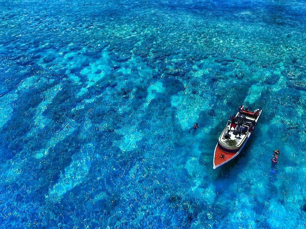 Pengalaman Diving Unik di Gunung Api Bawah Laut Banua Wuhu - Where Your ...