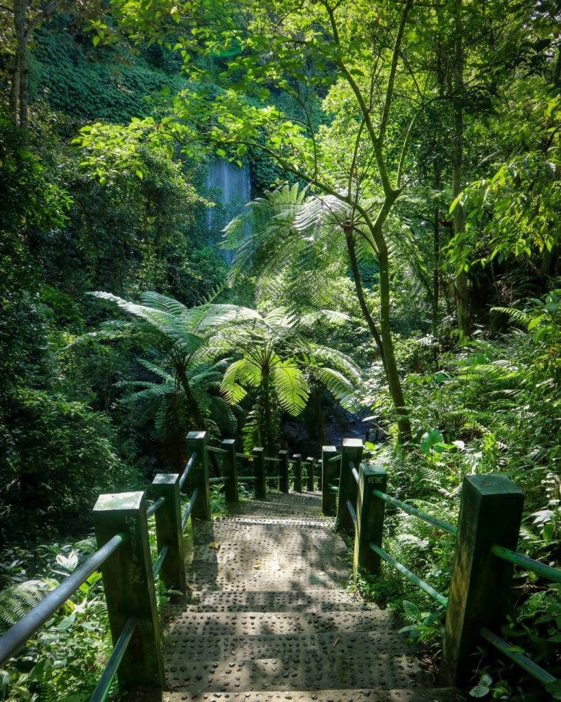 Benang Kelambu dan Benang Stokel, Dua Air Terjun Menawan di Lombok ...
