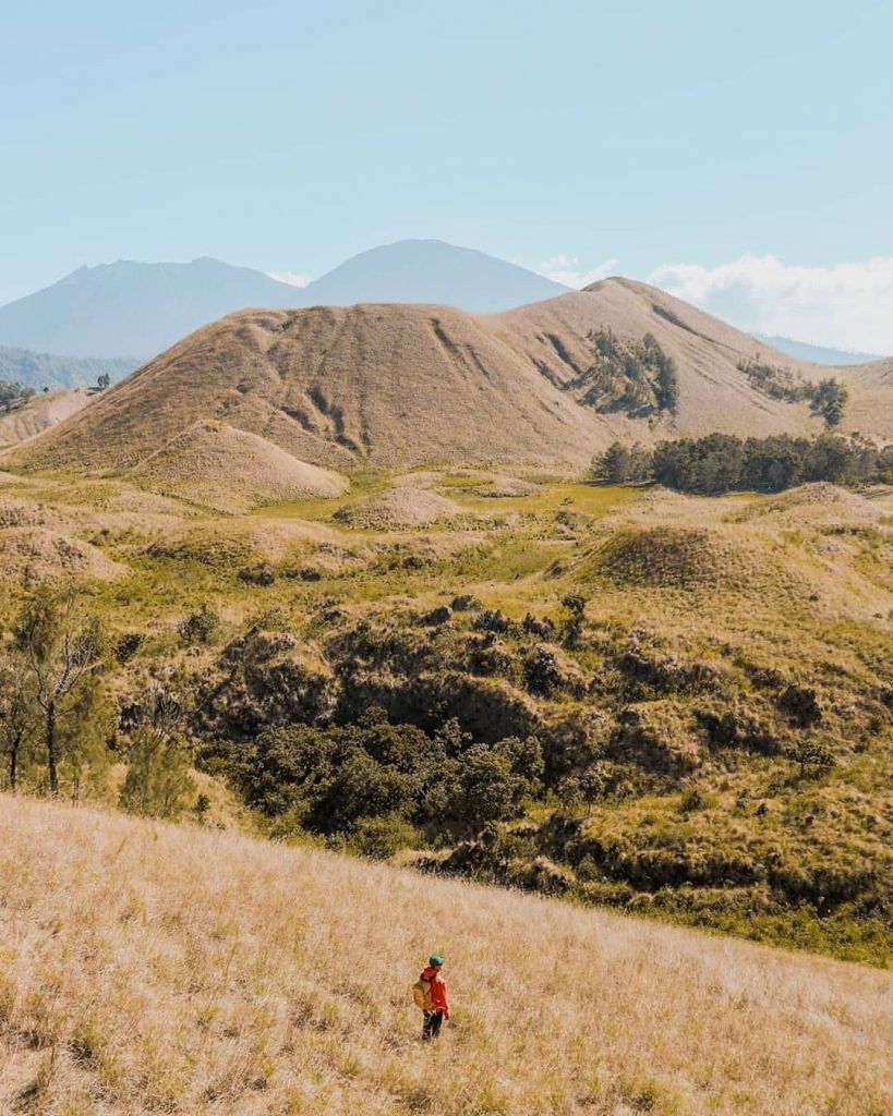 Indahnya Hamparan Padang Rumput Eksotis di Kawah Wurung