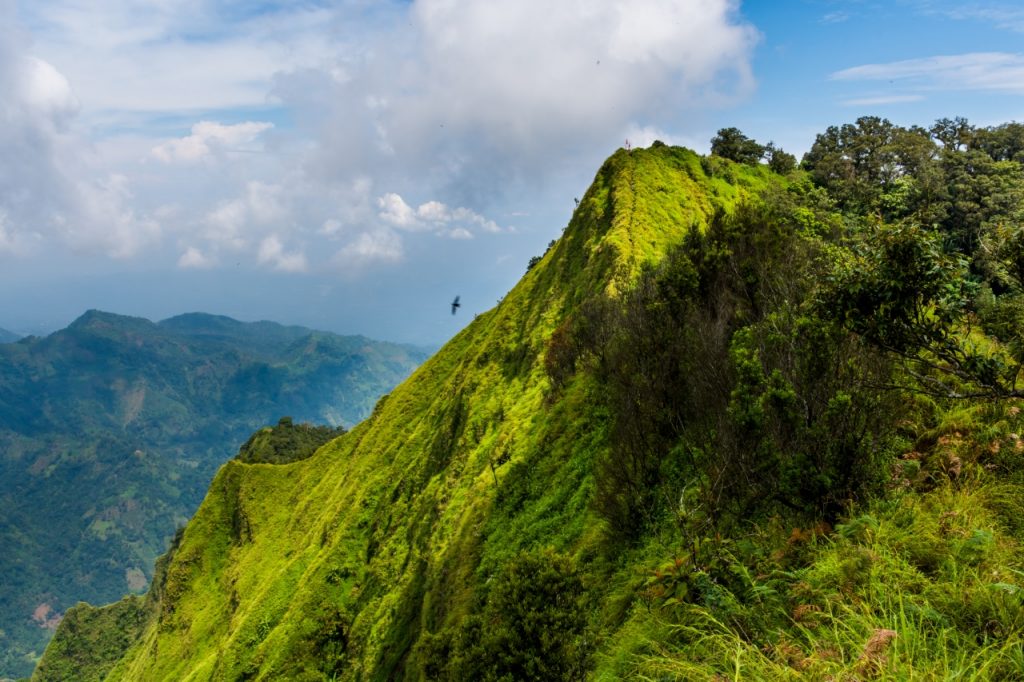 Trail Run Menuju Puncak Natas Angin di Gunung Muria