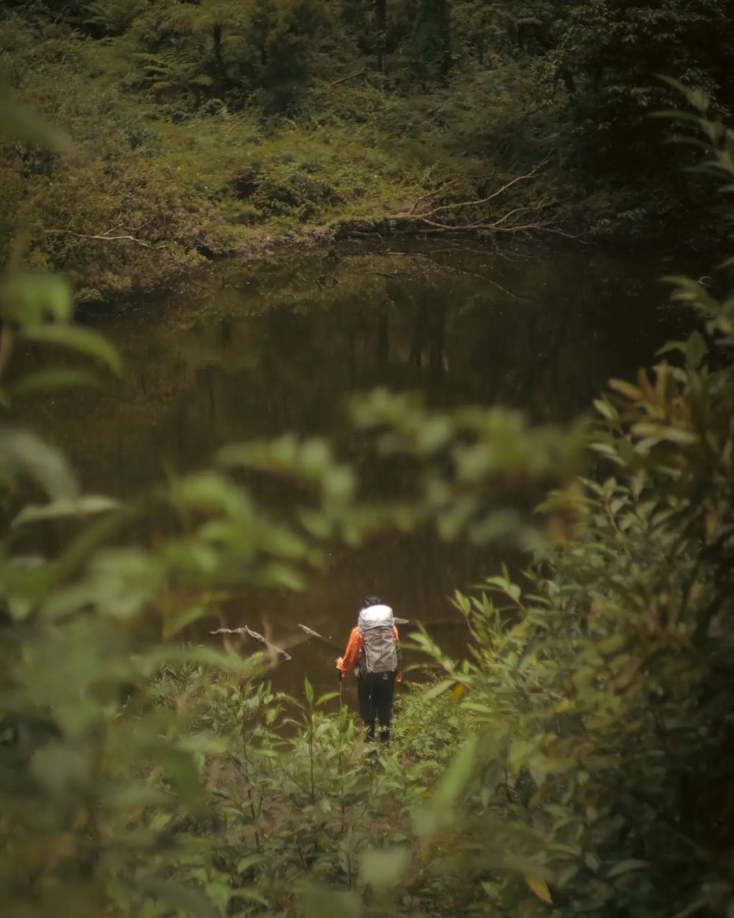 Menaklukkan Gunung Klabat, Puncak Tertinggi di Sulawesi Utara