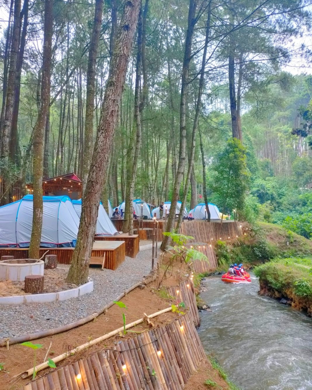 Muara Rahong Hills, Camping Seru di Tepi Sungai dan Hutan Pinus