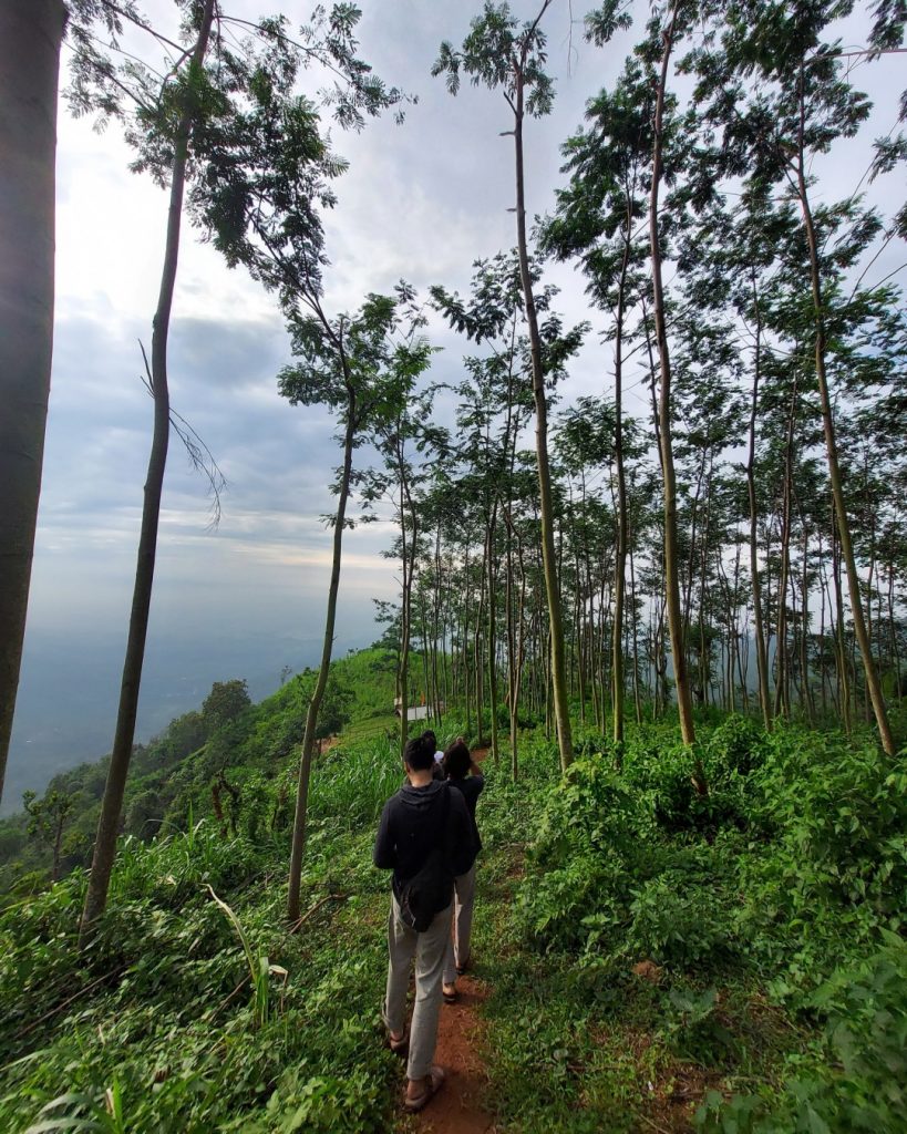 Menyaksikan Hijaunya Panorama Alam dari Puncak Bukit Watu Geligir