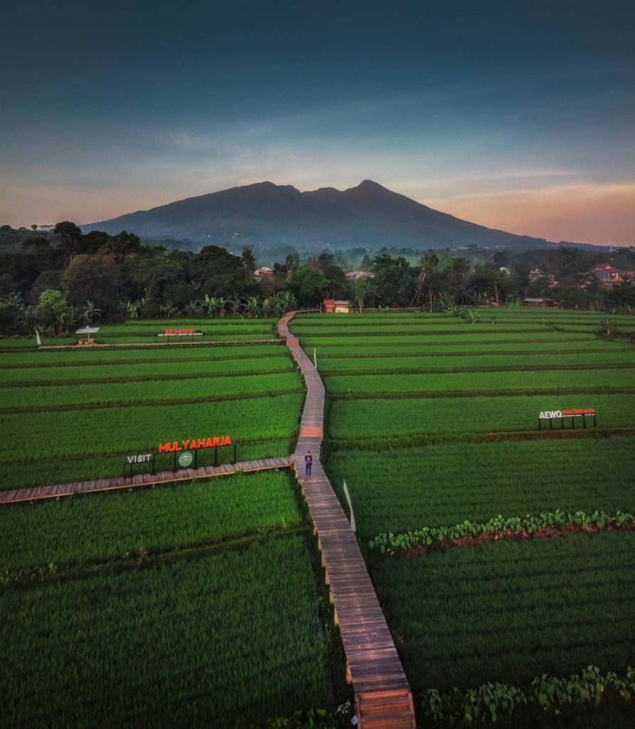 Bogor City Trail 2023, Lomba Lari yang Memadukan Road Run dan Trail Run ...
