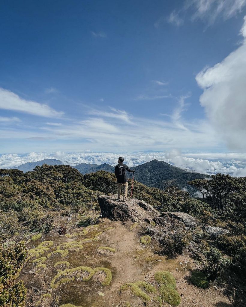 Menaklukkan Gunung Latimojong, Puncak Tertinggi di Sulawesi Selatan