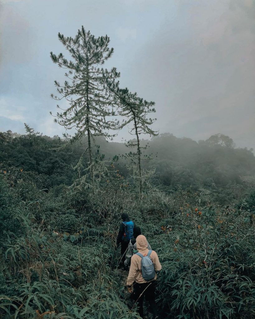 Mengarungi Tantangan Pendakian di Gunung Burni Telong, Aceh