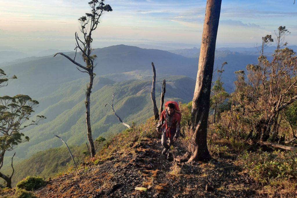 Gunung Mutis, Puncak Mistis yang Menyimpan Sejuta Pesona