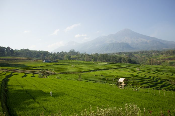 Sobo Ketapanrame Run 2025, Sensasi Lari di Tengah Keindahan Pegunungan ...