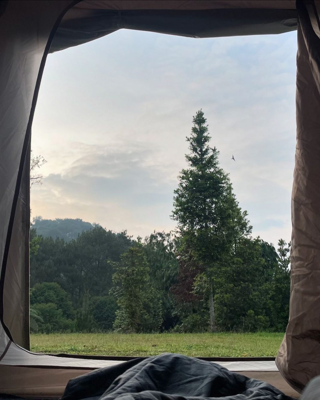 Camping dengan Latar Gunung di Amba Hills, Puncak Bogor