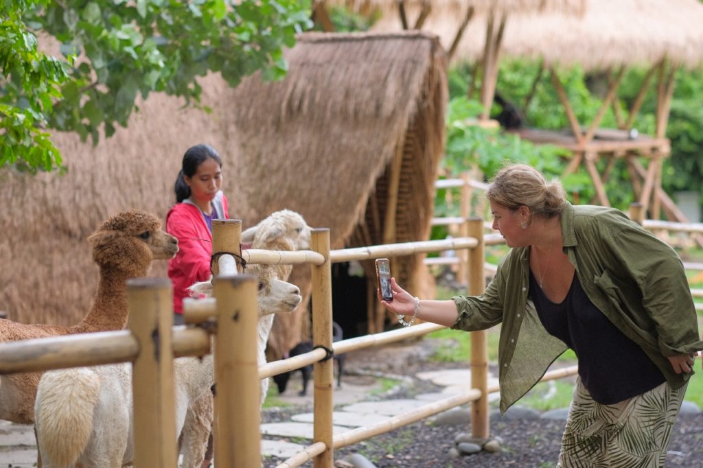 Nuanu Creative City, Destinasi Baru untuk Merayakan Seni dan Budaya di Bali